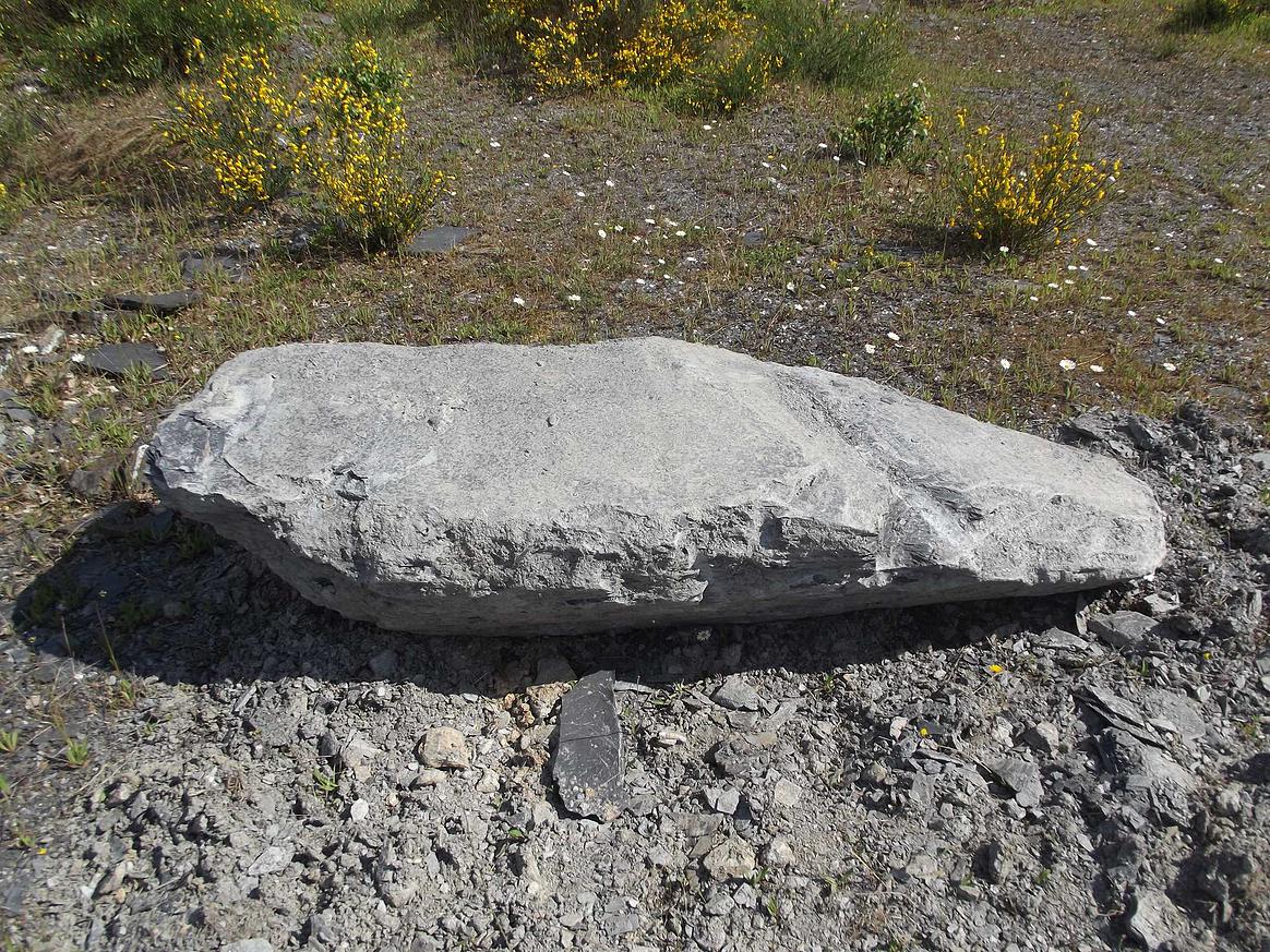 Findlinge - J+B - Naturstein und Schiefer kaufen - naturschiefer.de